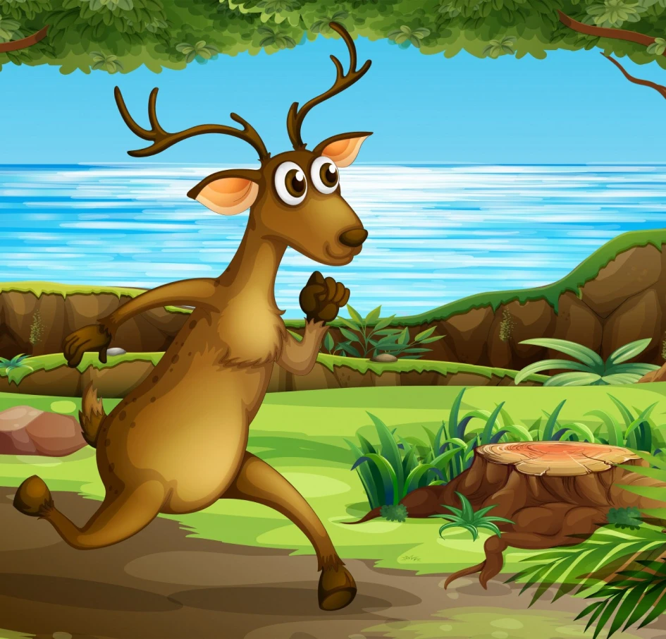 Cartoon Illustration Services